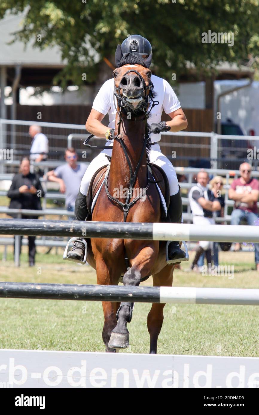 riding contest in germany Stock Photo - Alamy