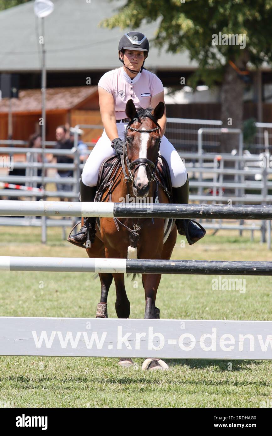 riding contest in germany Stock Photo - Alamy