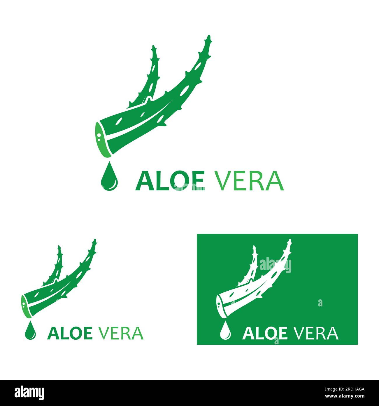 Aloe vera icon logo vector illustration Stock Vector Image & Art - Alamy