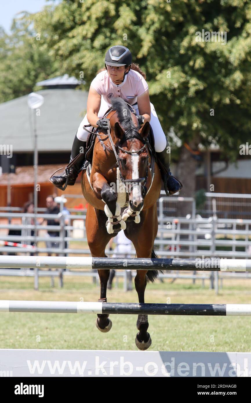 riding contest in germany Stock Photo - Alamy