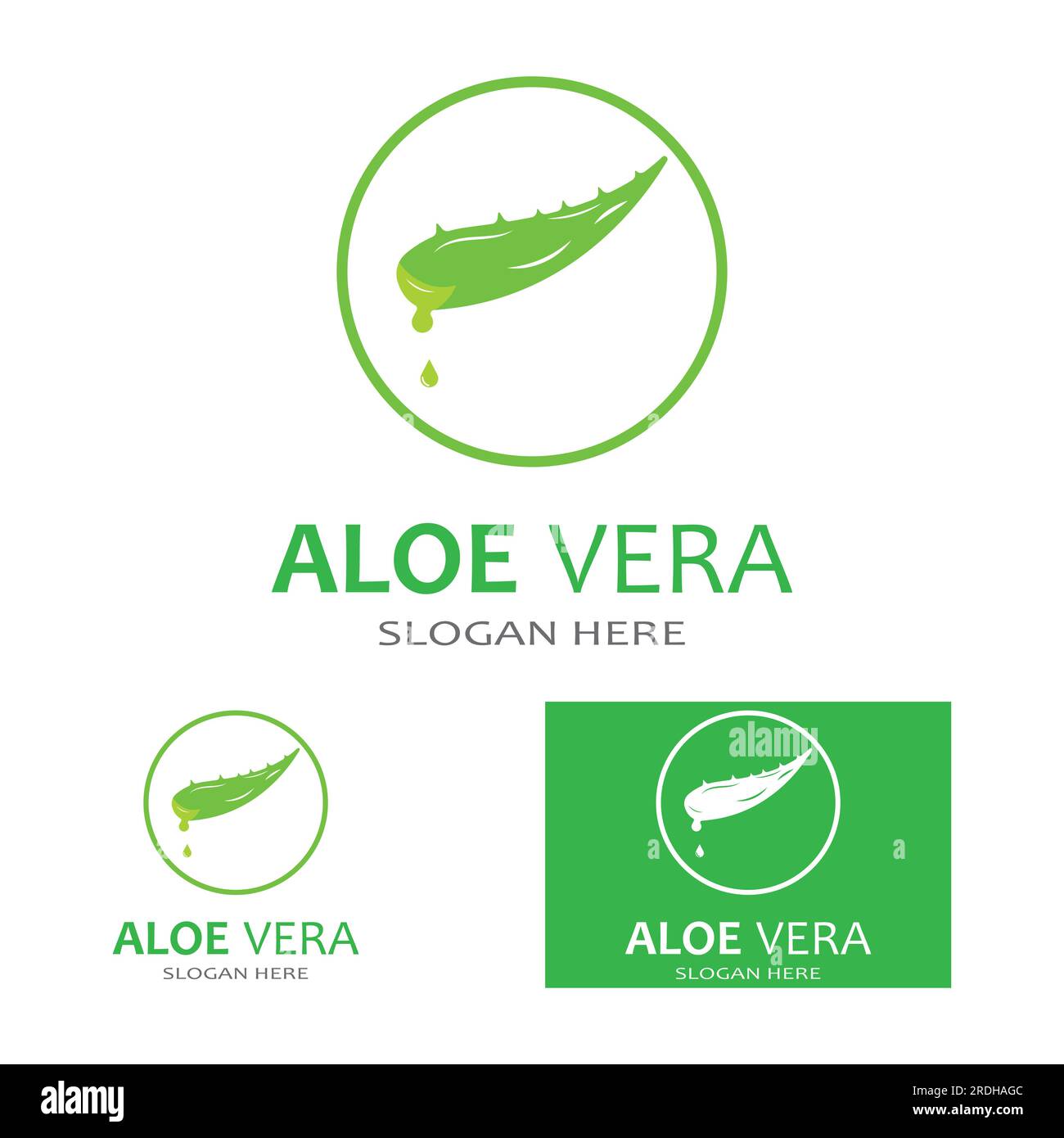 Aloe vera icon logo vector illustration Stock Vector Image & Art - Alamy