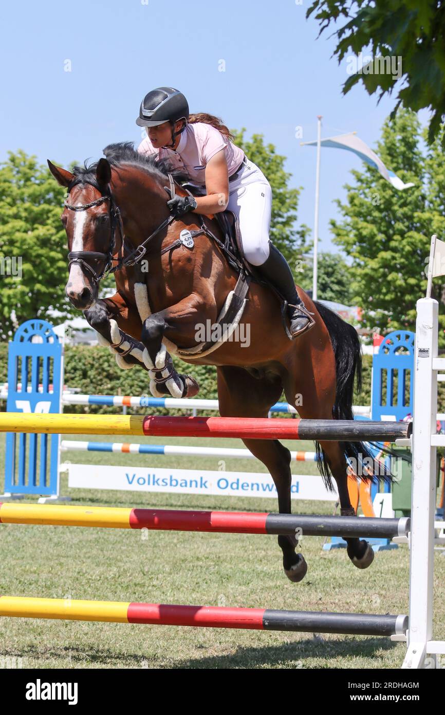 riding contest in germany Stock Photo - Alamy