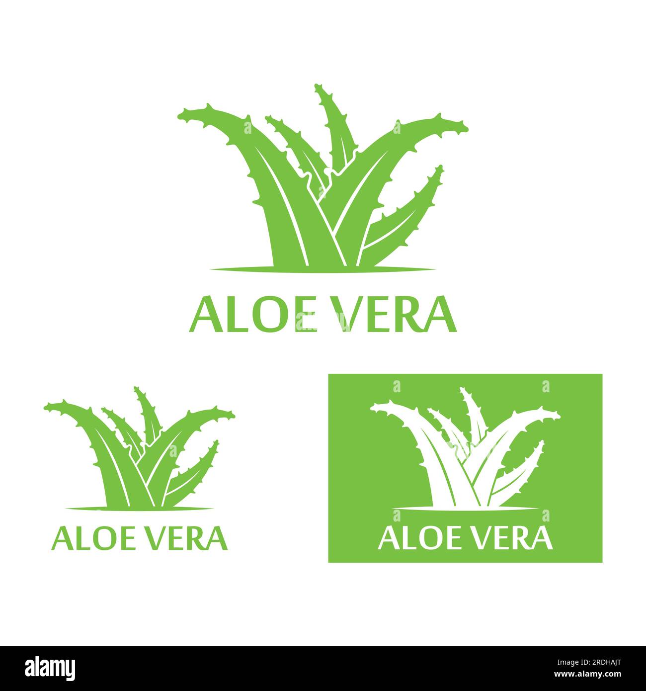 Aloe vera icon logo vector illustration Stock Vector Image & Art - Alamy