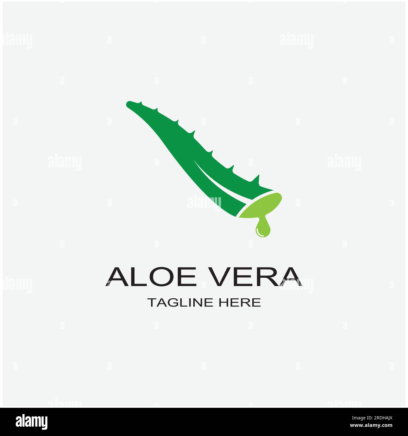 Aloe vera icon logo vector illustration Stock Vector Image & Art - Alamy