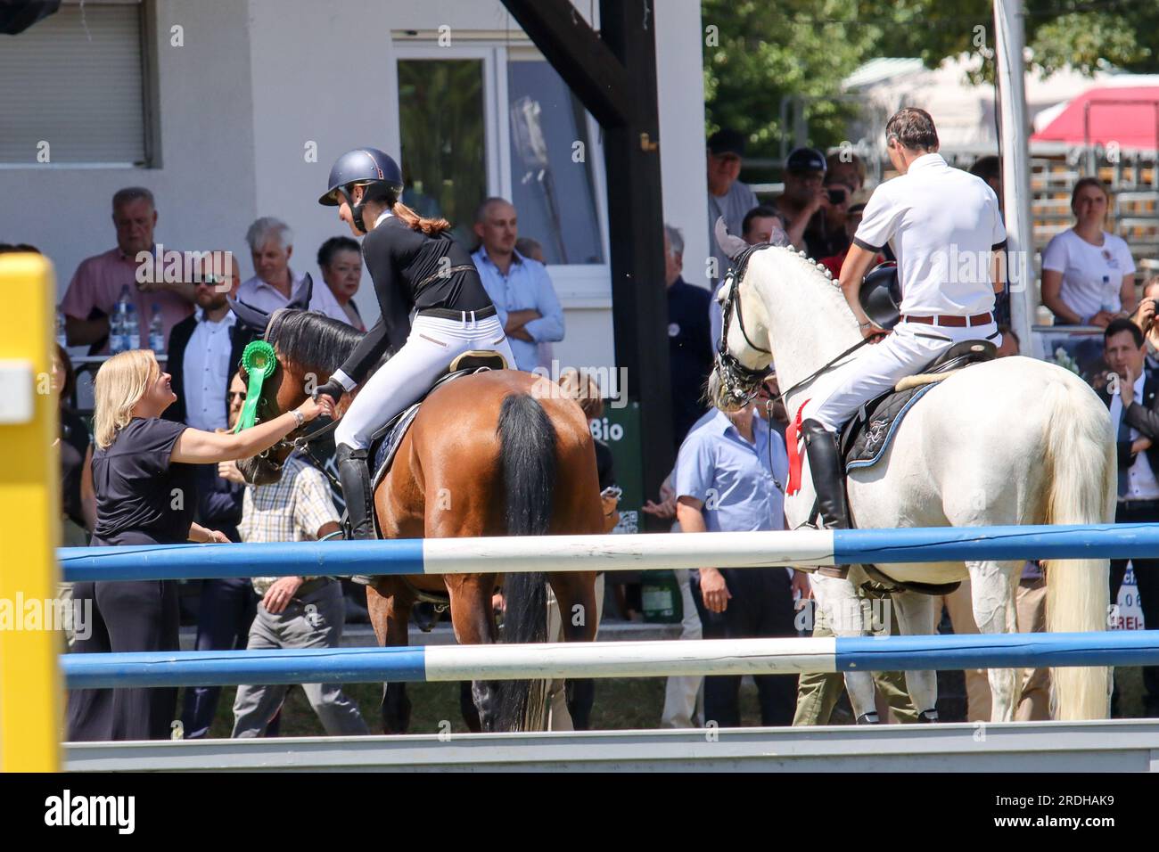 riding contest in germany Stock Photo - Alamy