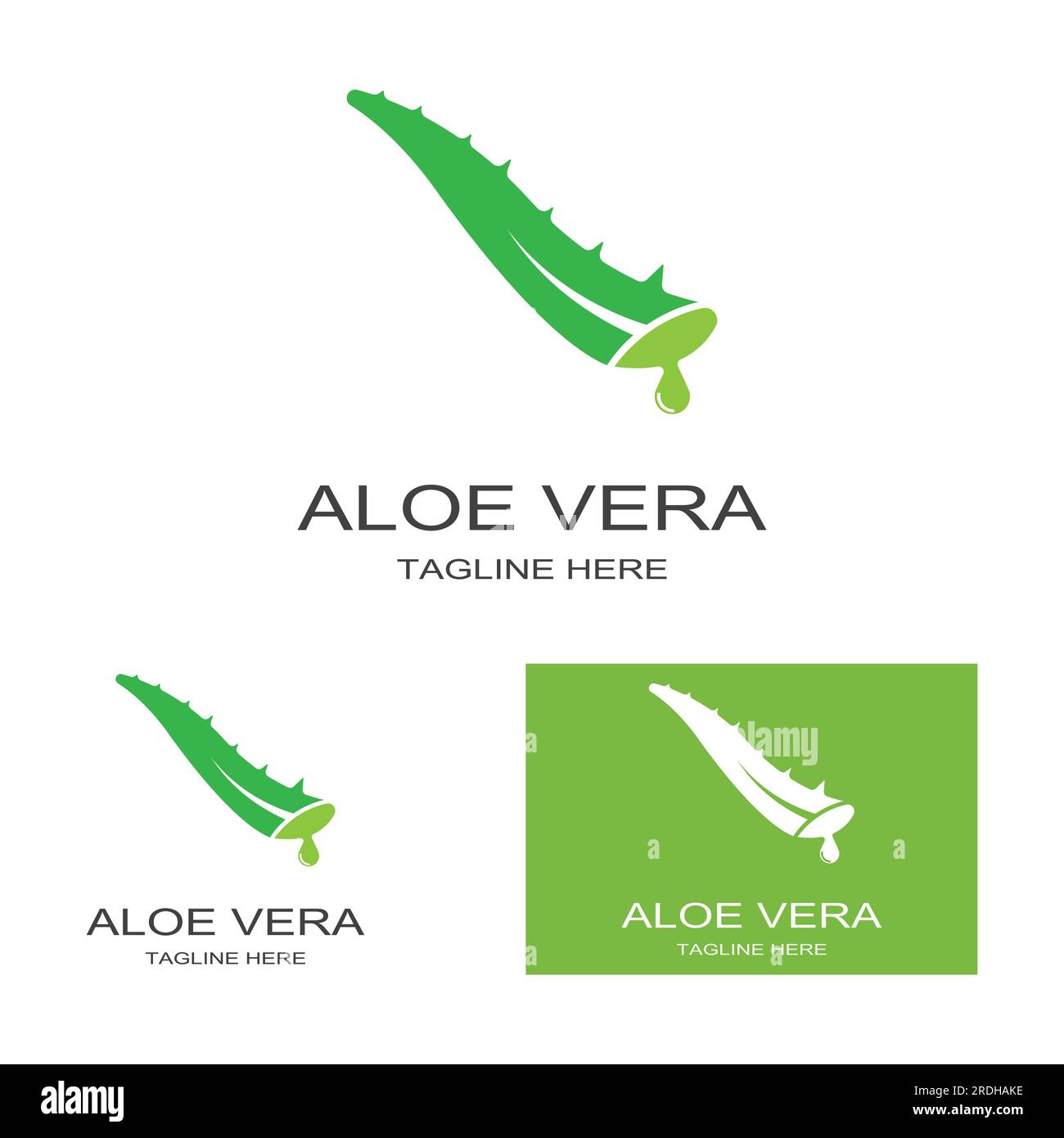 Aloe vera icon logo vector illustration Stock Vector Image & Art - Alamy