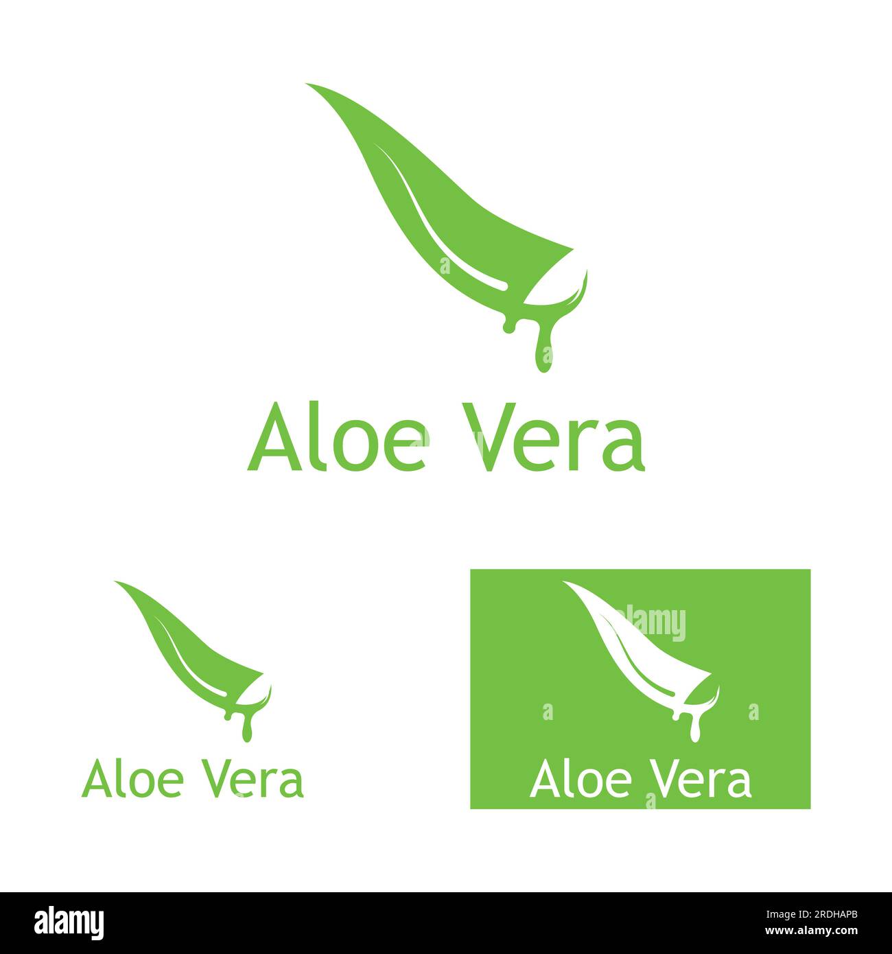 Aloe vera icon logo vector illustration Stock Vector Image & Art - Alamy