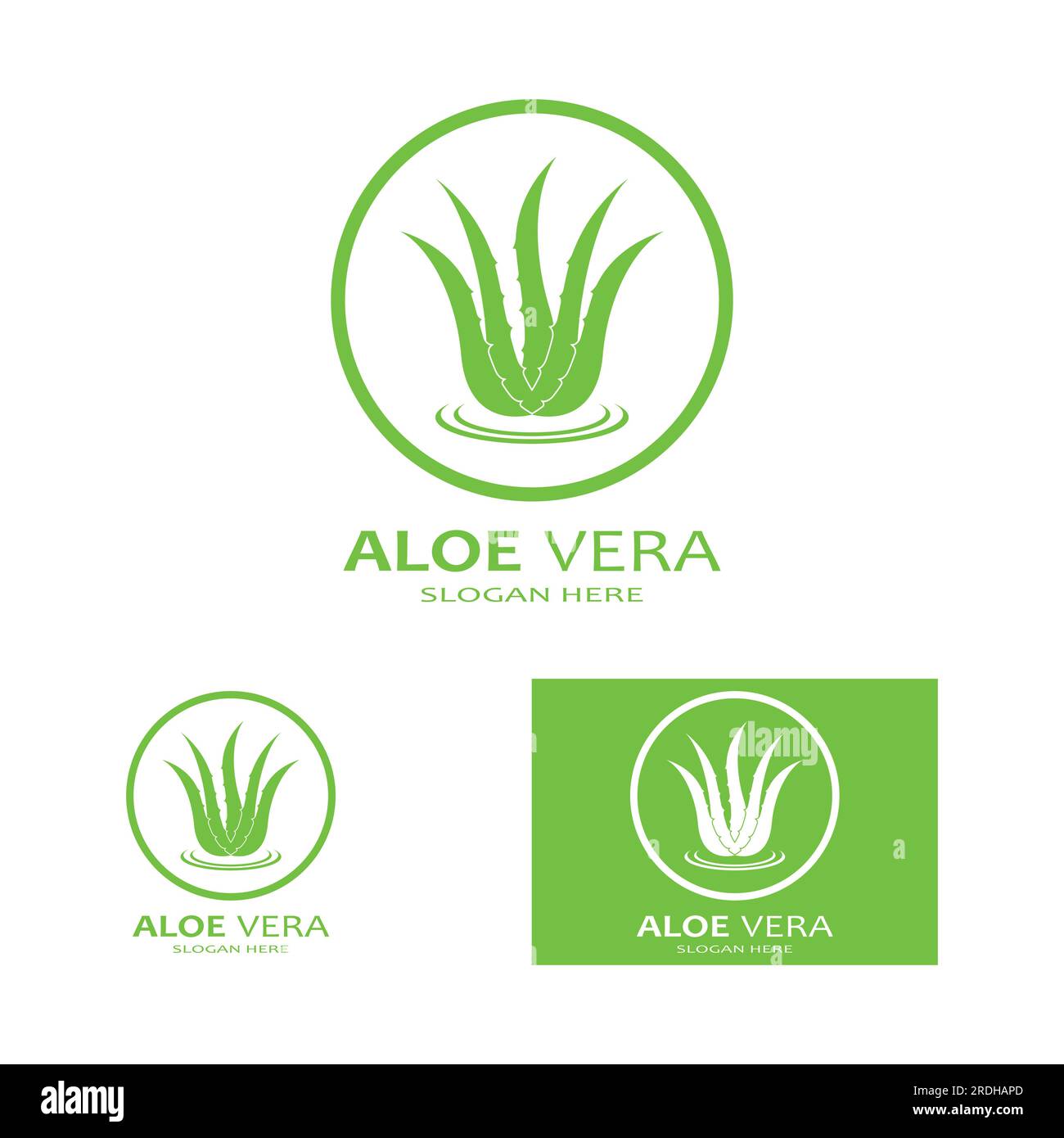 Aloe vera icon logo vector illustration Stock Vector Image & Art - Alamy