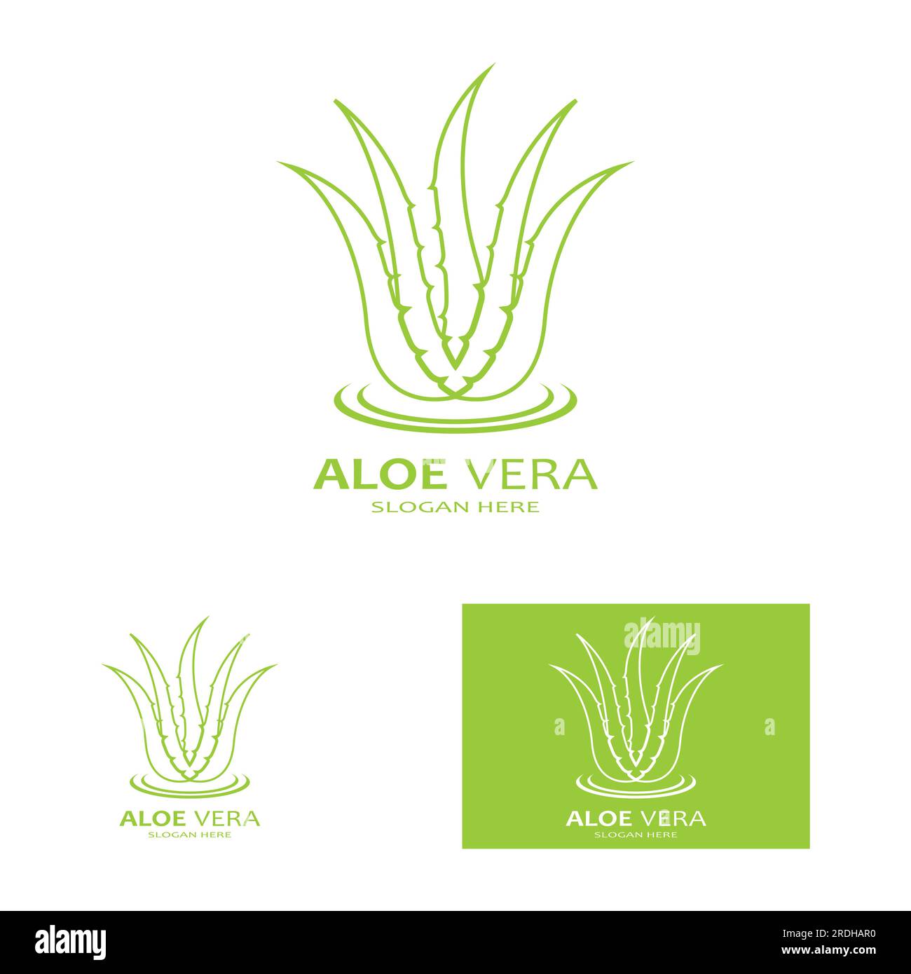 Aloe vera icon logo vector illustration Stock Vector Image & Art - Alamy