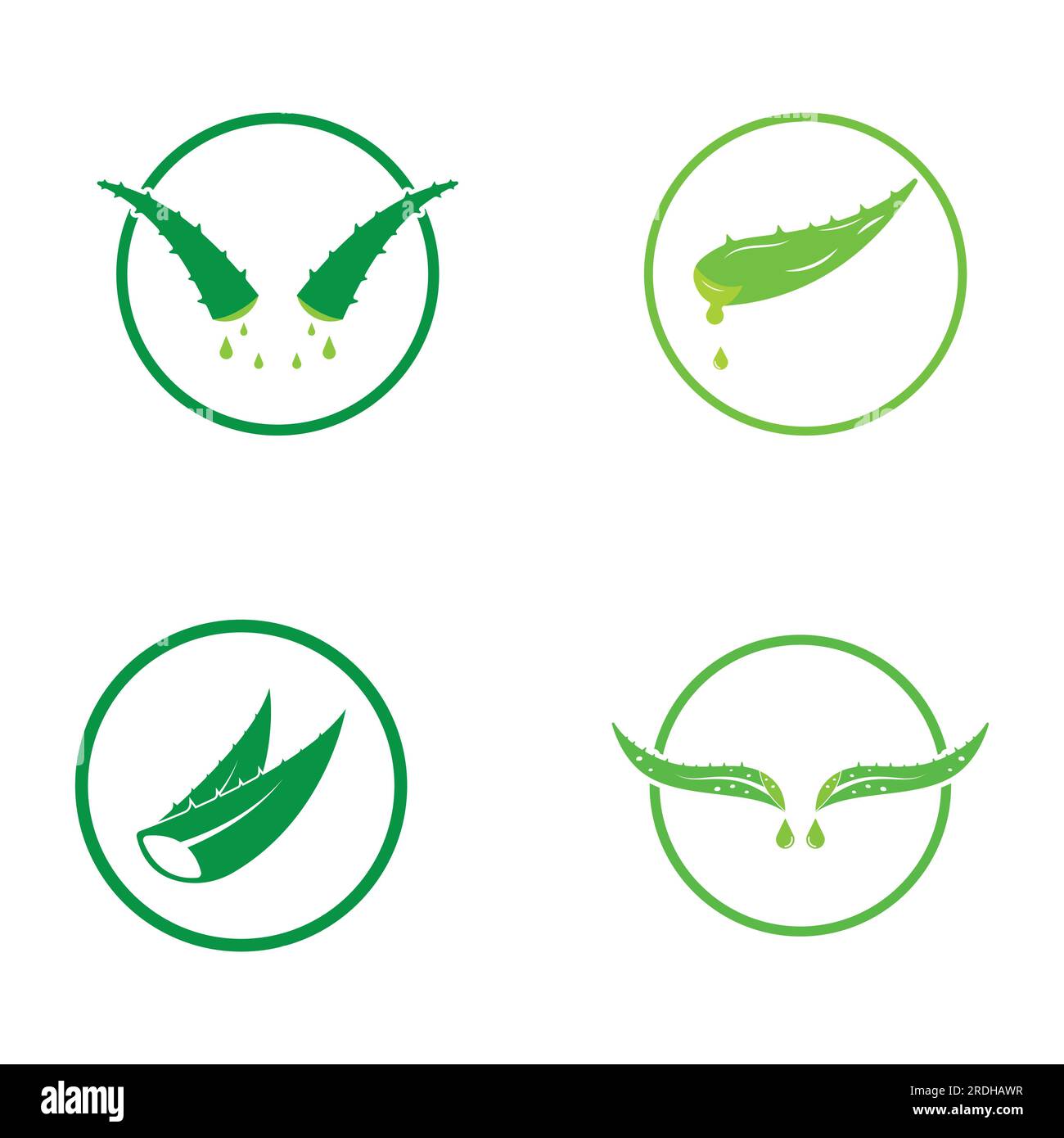Aloe vera icon logo vector illustration Stock Vector Image & Art - Alamy
