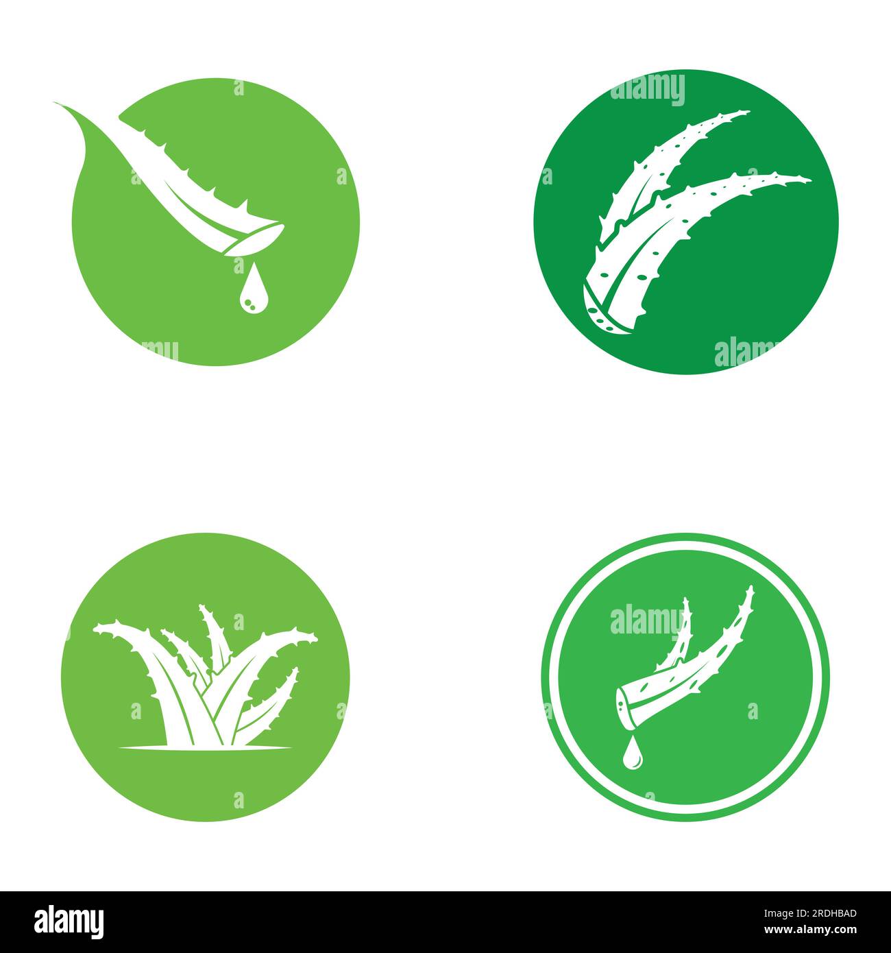Aloe vera icon logo vector illustration Stock Vector Image & Art - Alamy