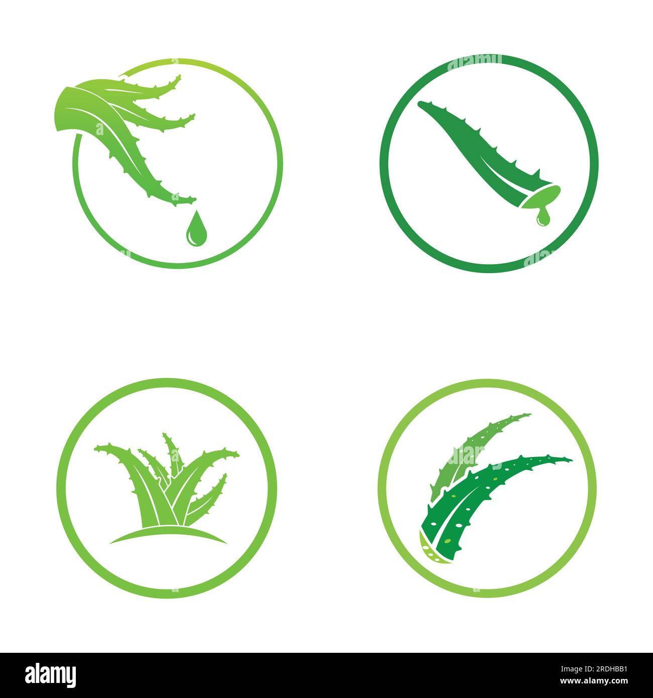 Aloe vera icon logo vector illustration Stock Vector Image & Art - Alamy