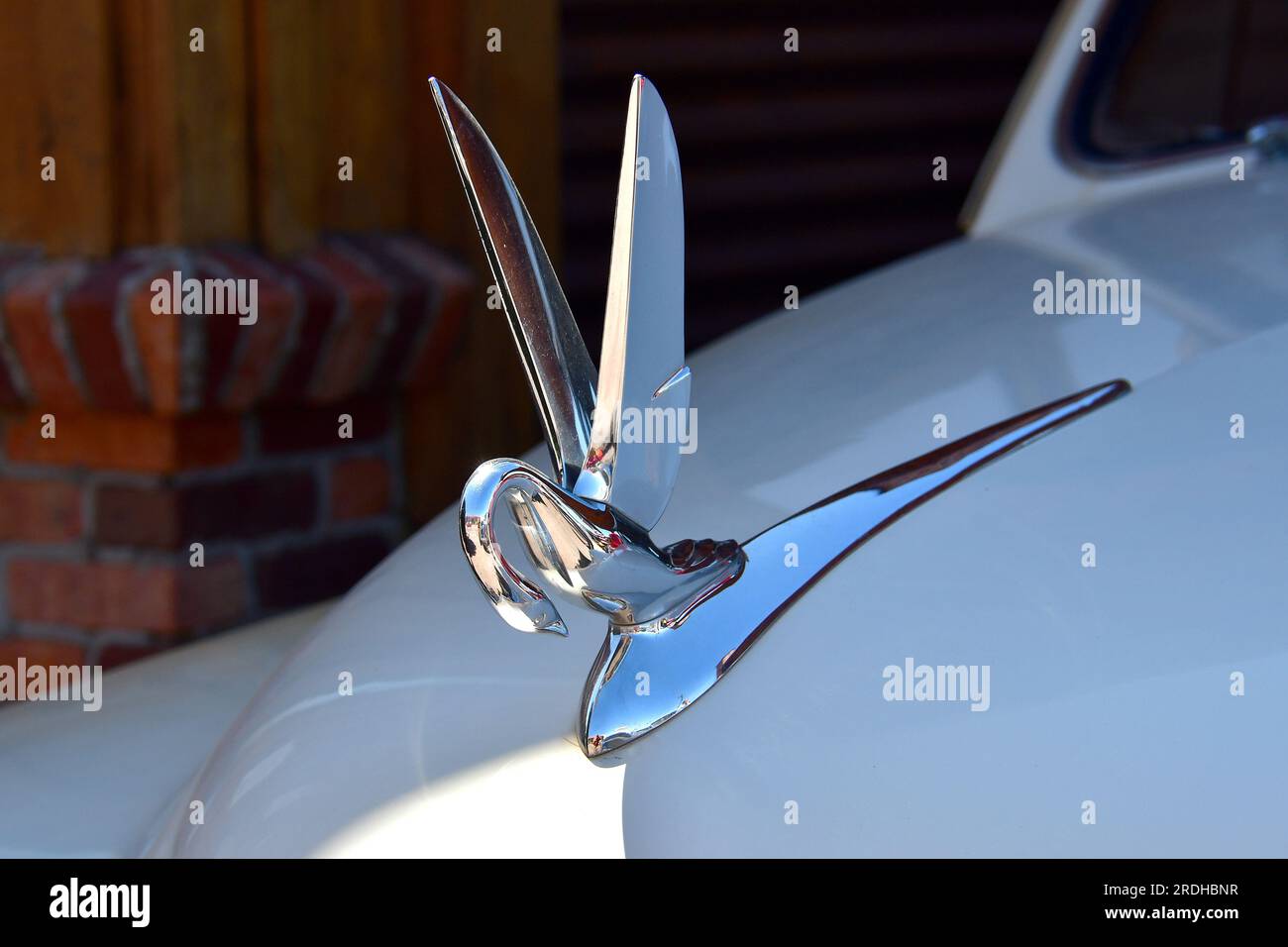 Packard car logo hi-res stock photography and images - Alamy