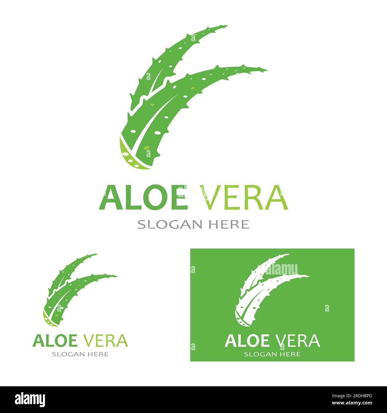 Aloe vera icon logo vector illustration Stock Vector Image & Art - Alamy