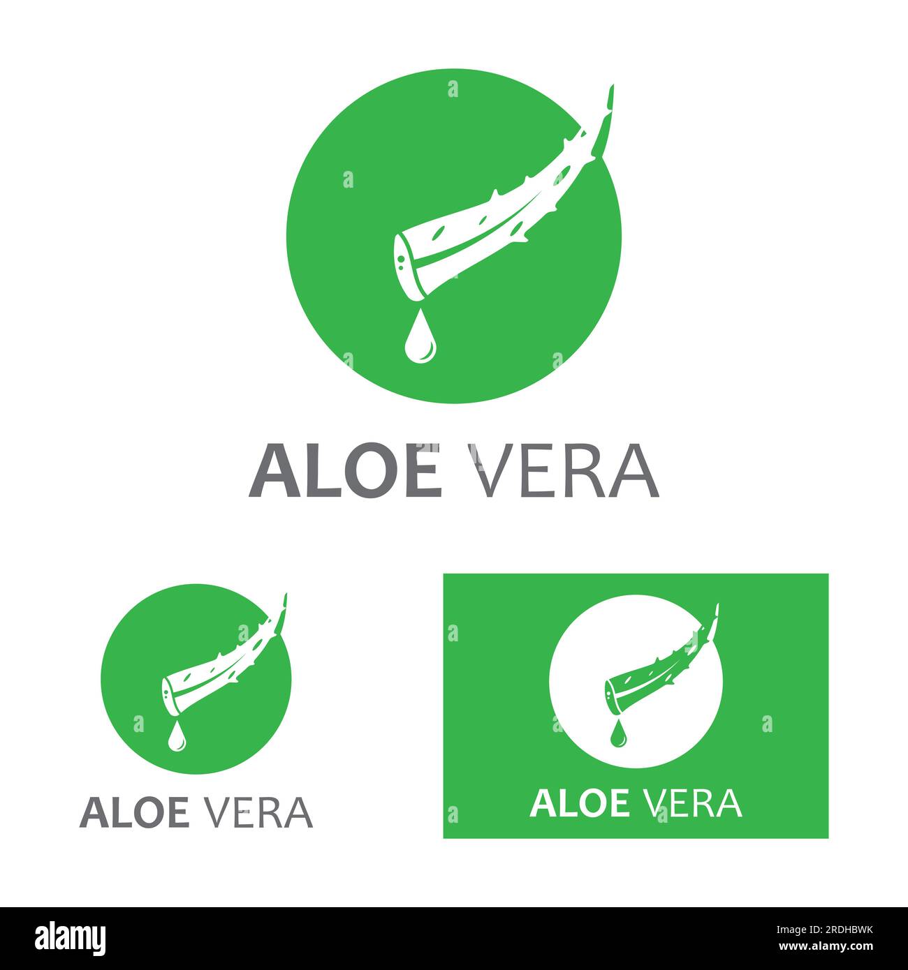 Aloe vera icon logo vector illustration Stock Vector Image & Art - Alamy