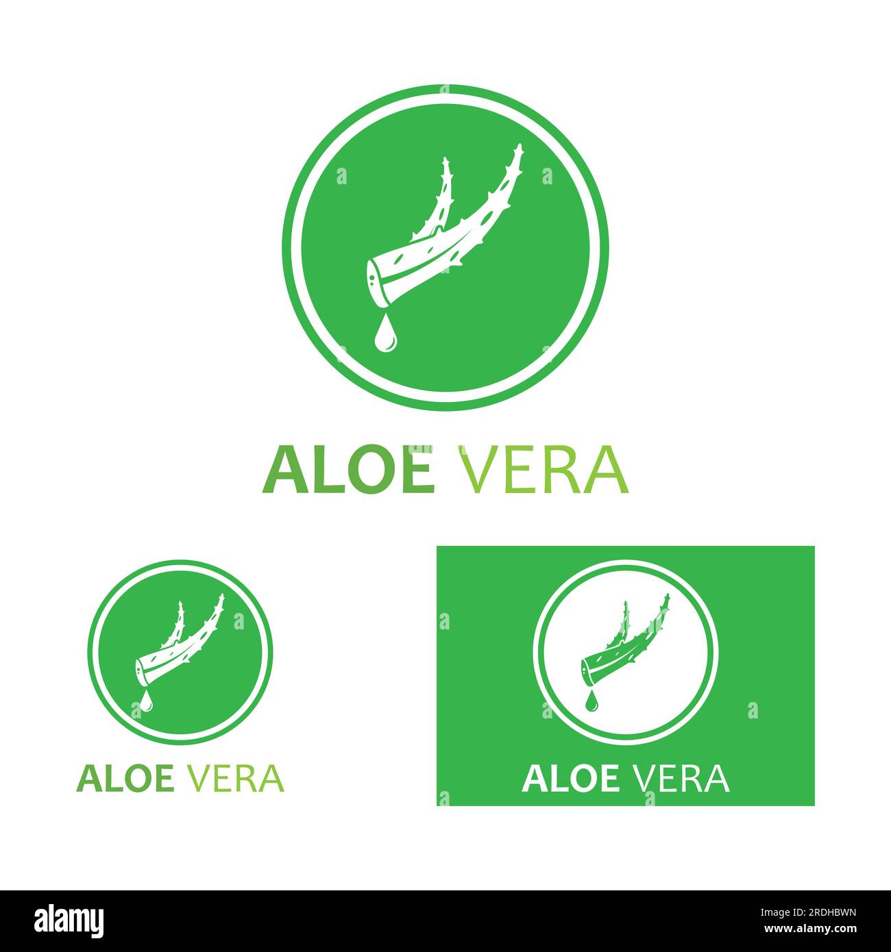Aloe vera icon logo vector illustration Stock Vector Image & Art - Alamy