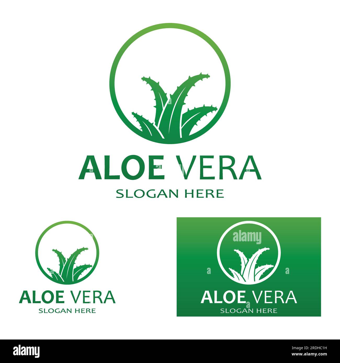 Aloe vera icon logo vector illustration Stock Vector Image & Art - Alamy