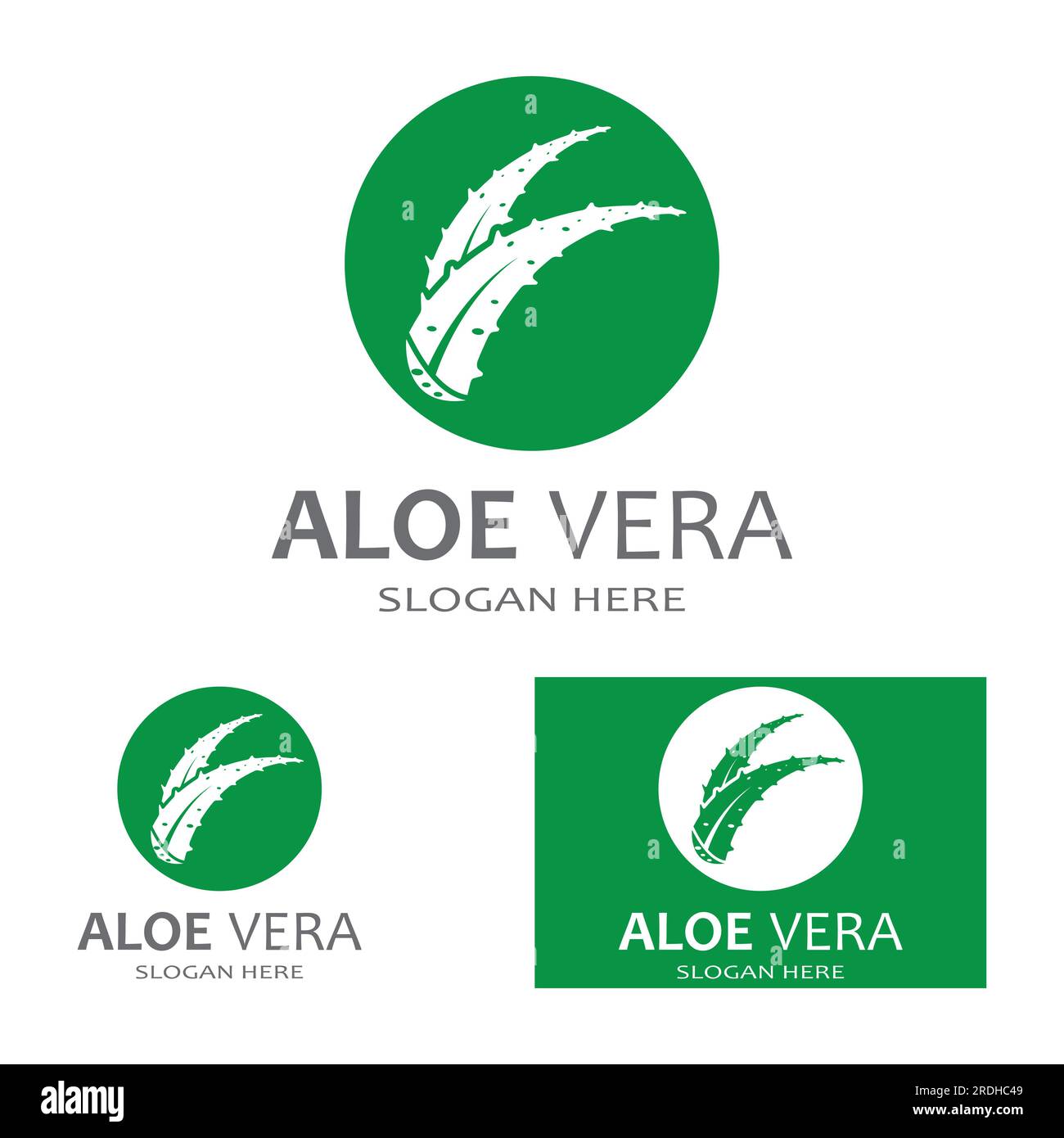 Aloe vera icon logo vector illustration Stock Vector Image & Art - Alamy