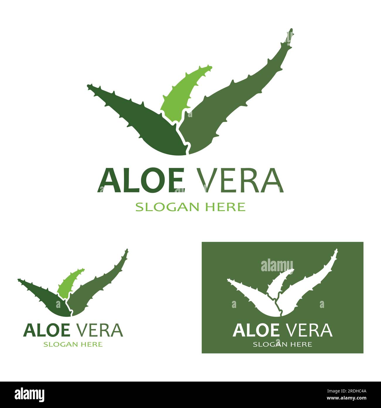 Aloe vera icon logo vector illustration Stock Vector Image & Art - Alamy
