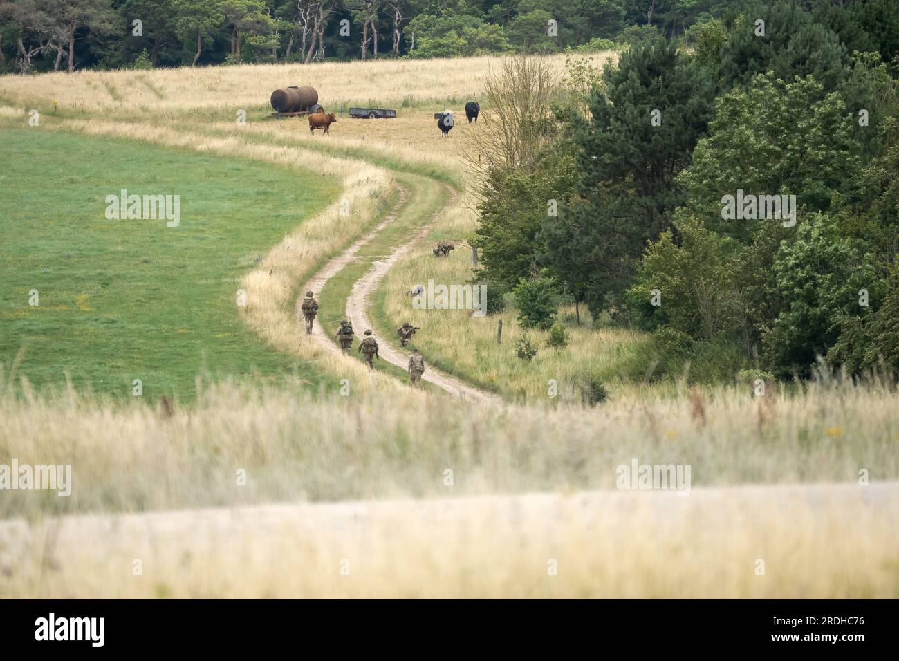 British army infantry soldiers on training take position to cover enemy ...