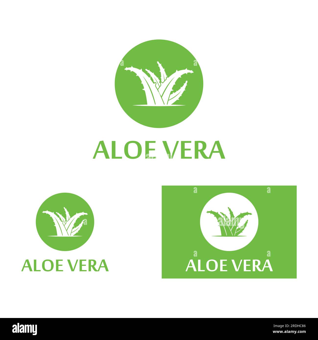 Aloe vera icon logo vector illustration Stock Vector Image & Art - Alamy