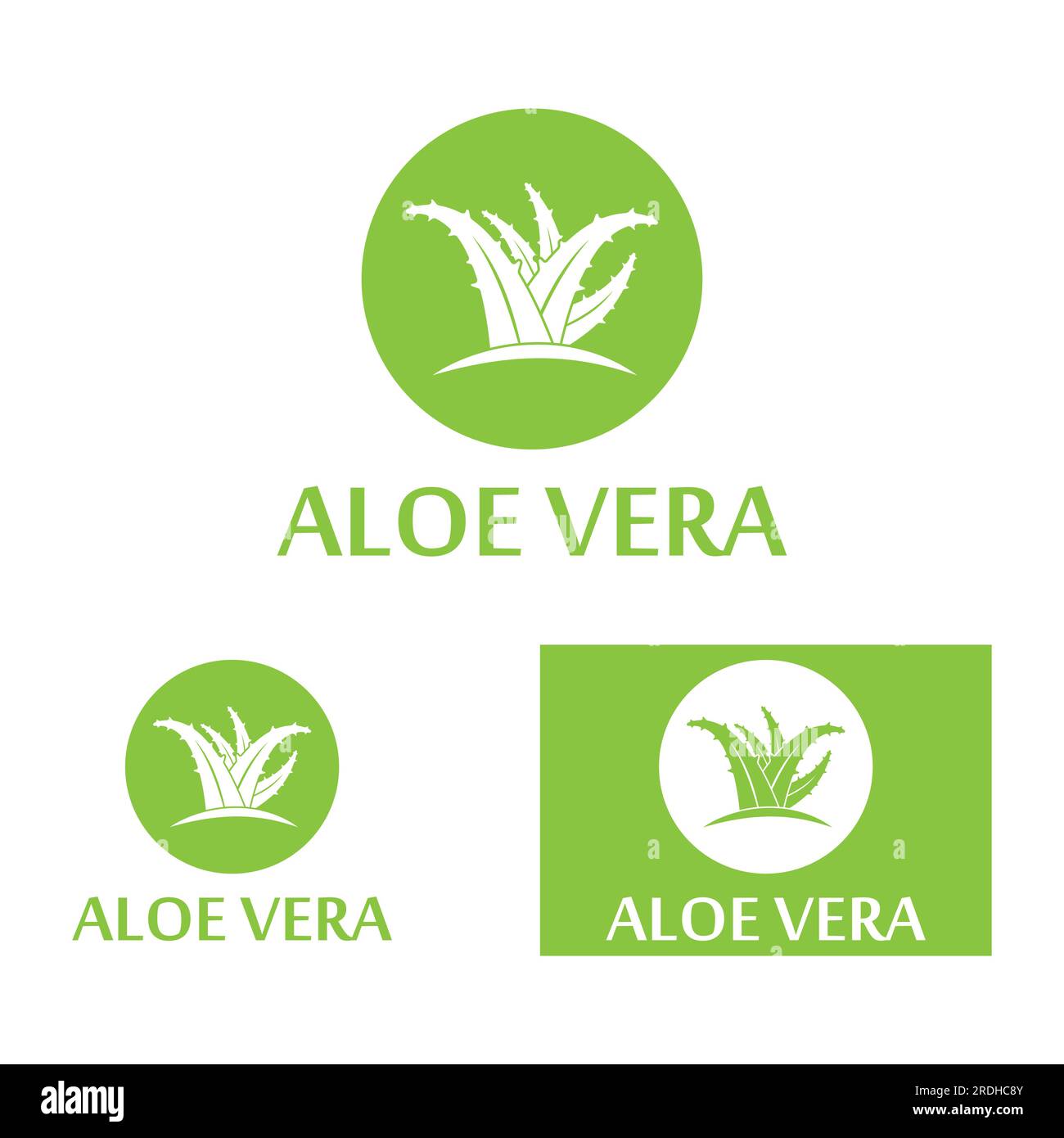 Aloe vera icon logo vector illustration Stock Vector Image & Art - Alamy