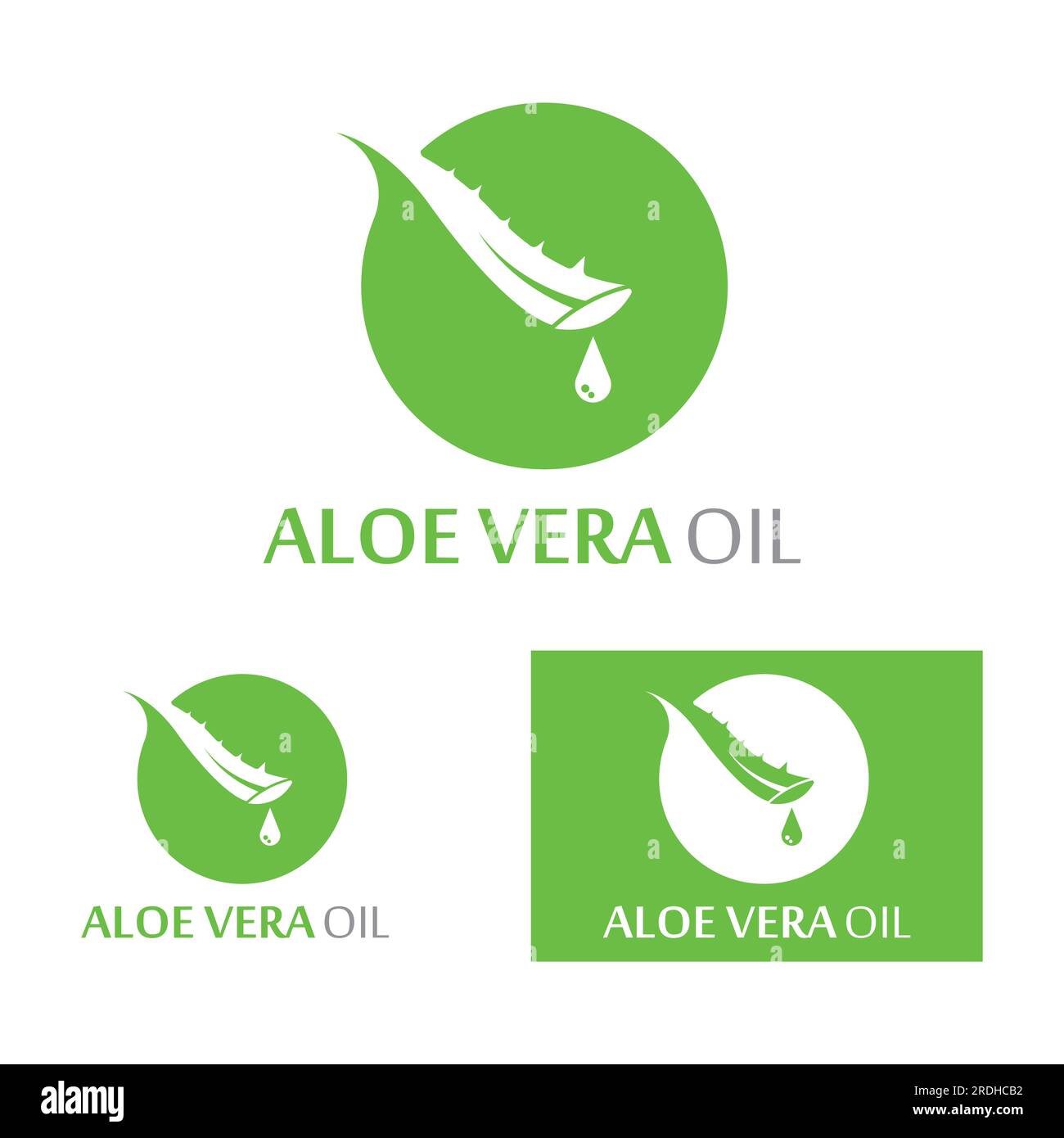Aloe vera icon logo vector illustration Stock Vector Image & Art - Alamy