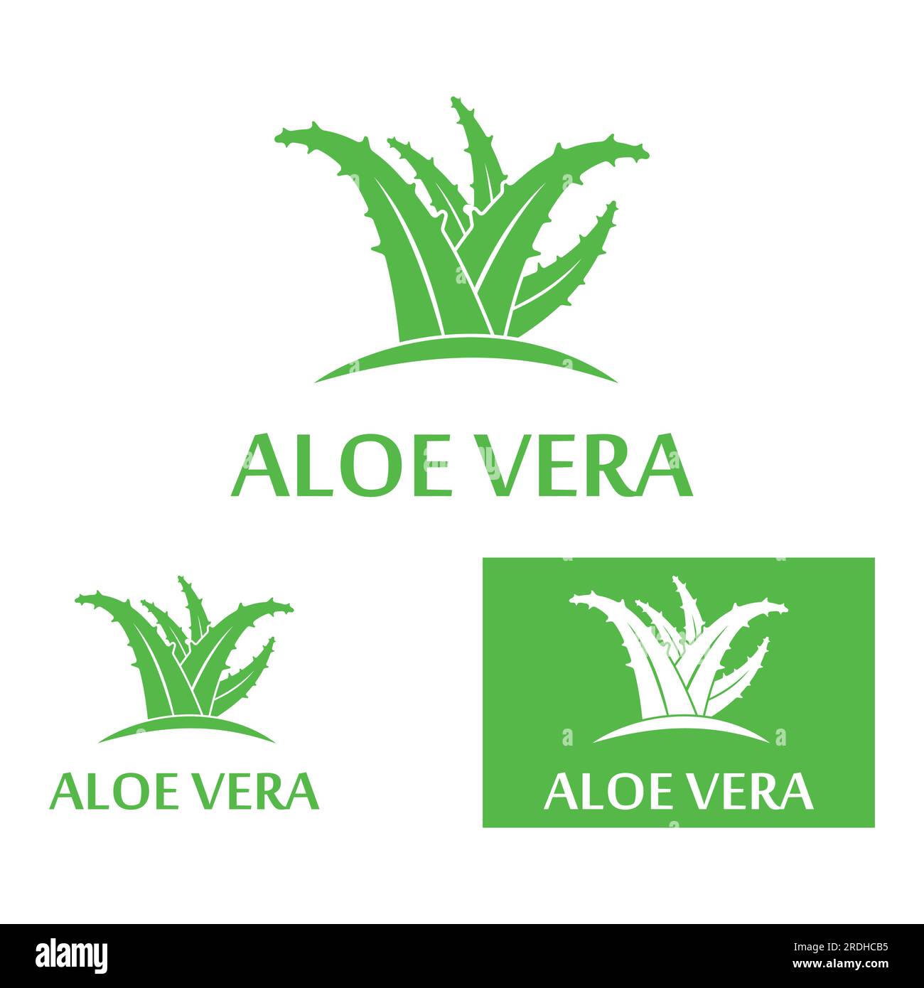 Aloe vera icon logo vector illustration Stock Vector Image & Art - Alamy