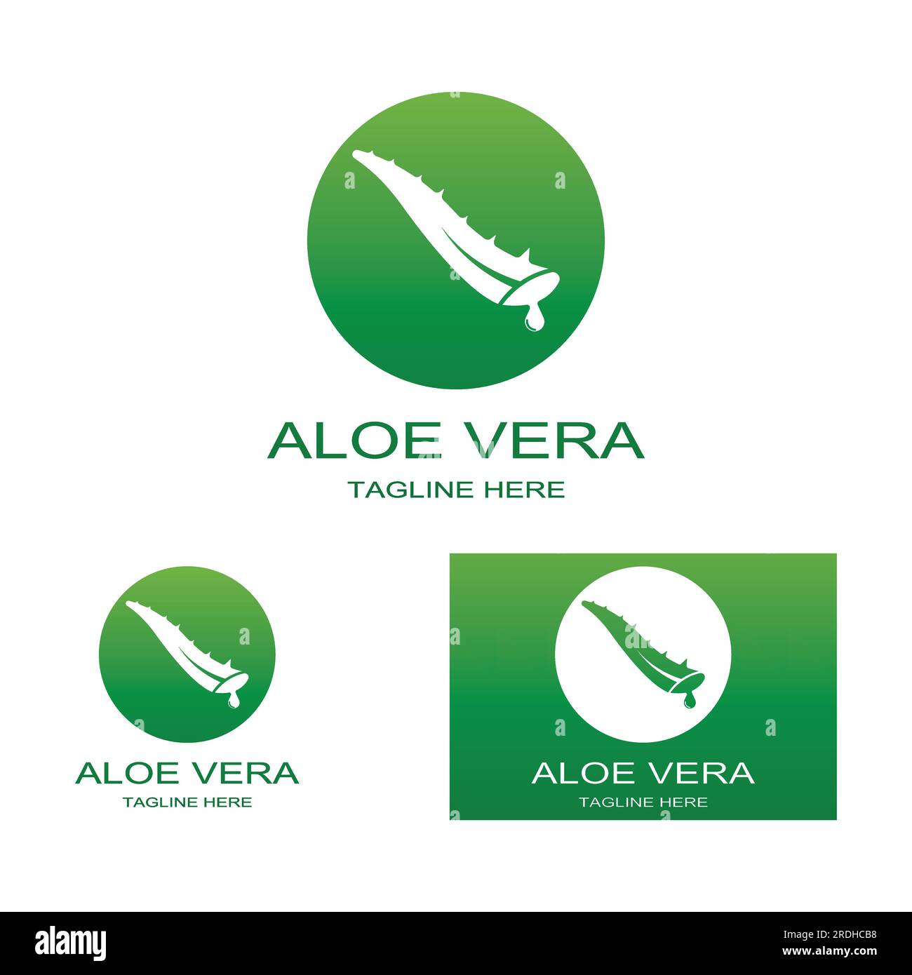 Aloe vera icon logo vector illustration Stock Vector Image & Art - Alamy