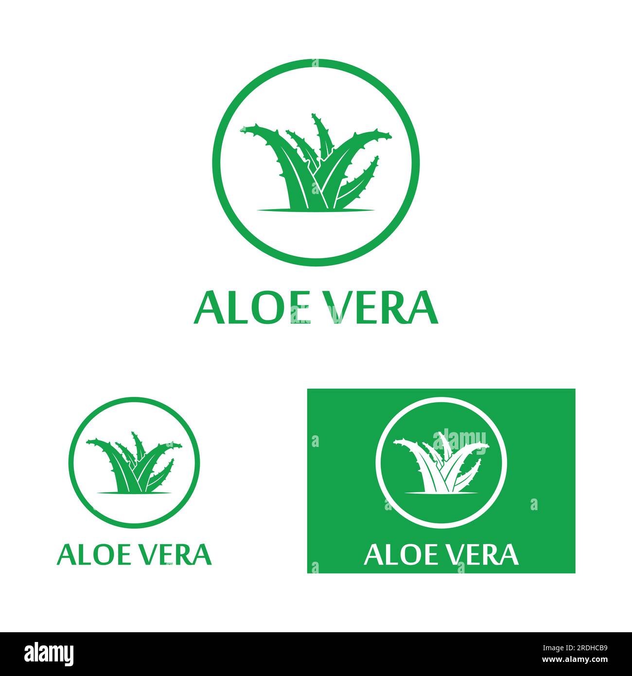 Aloe vera icon logo vector illustration Stock Vector Image & Art - Alamy