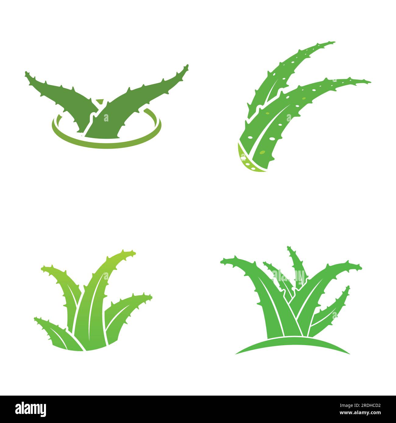 Aloe vera icon logo vector illustration Stock Vector Image & Art - Alamy