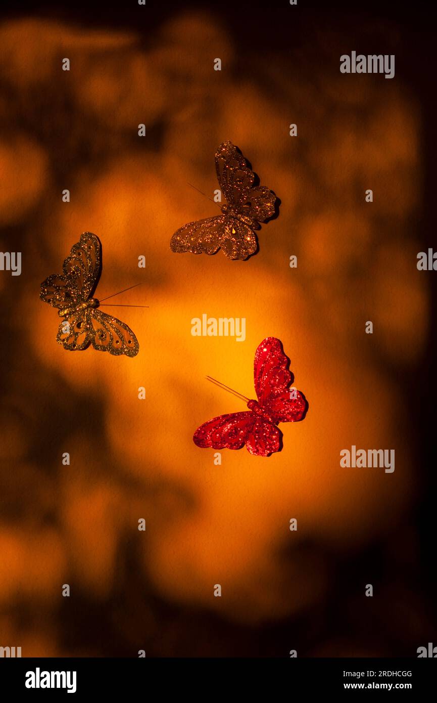 Butterflies on wall sunset lights with shadows and butterfly net Stock ...