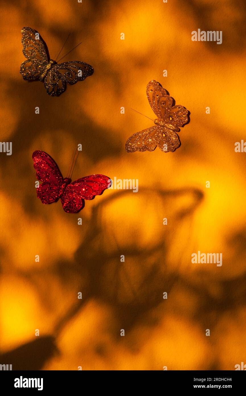 Butterflies on wall sunset lights with shadows and butterfly net Stock ...