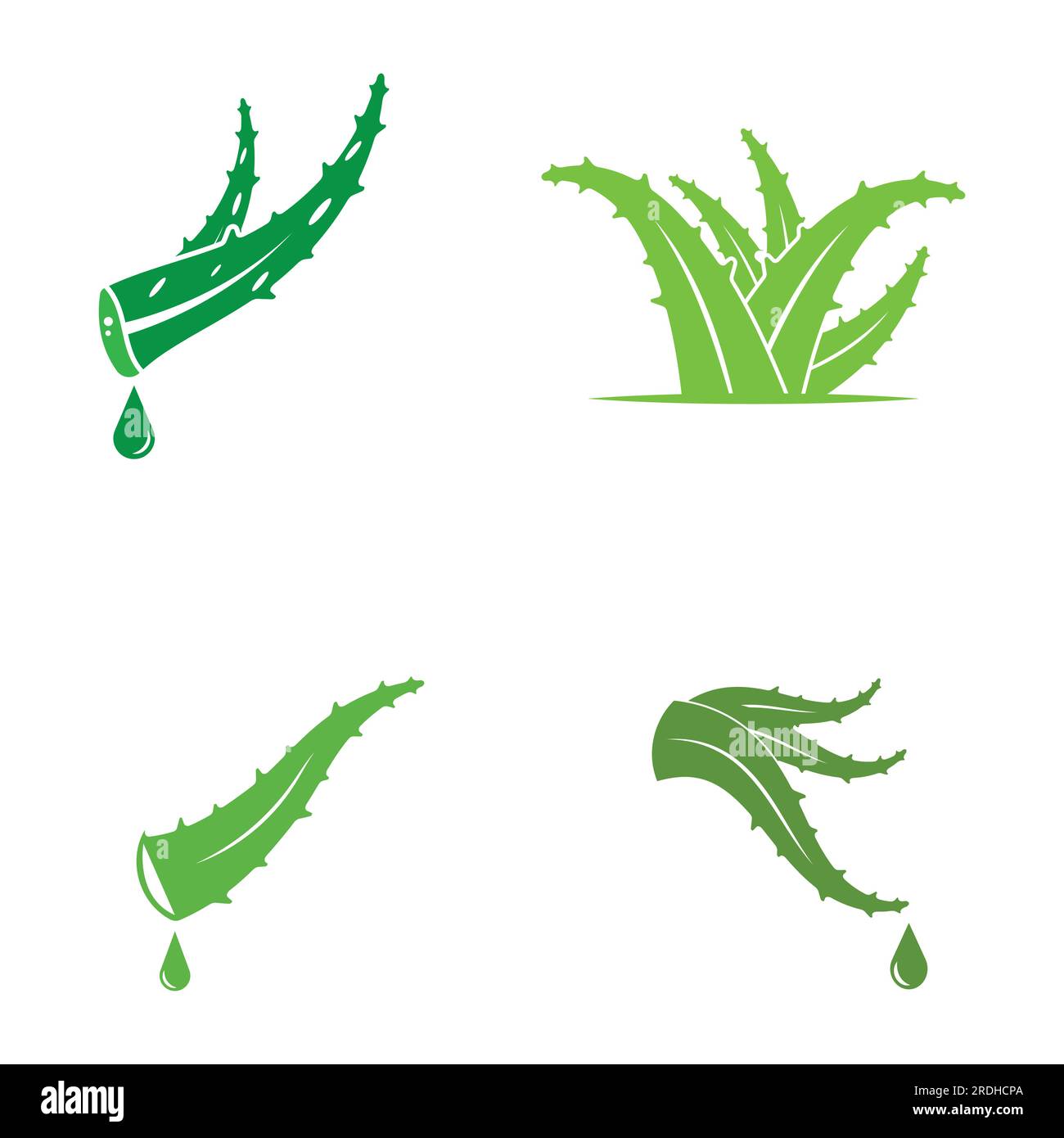 Aloe vera icon logo vector illustration Stock Vector Image & Art - Alamy