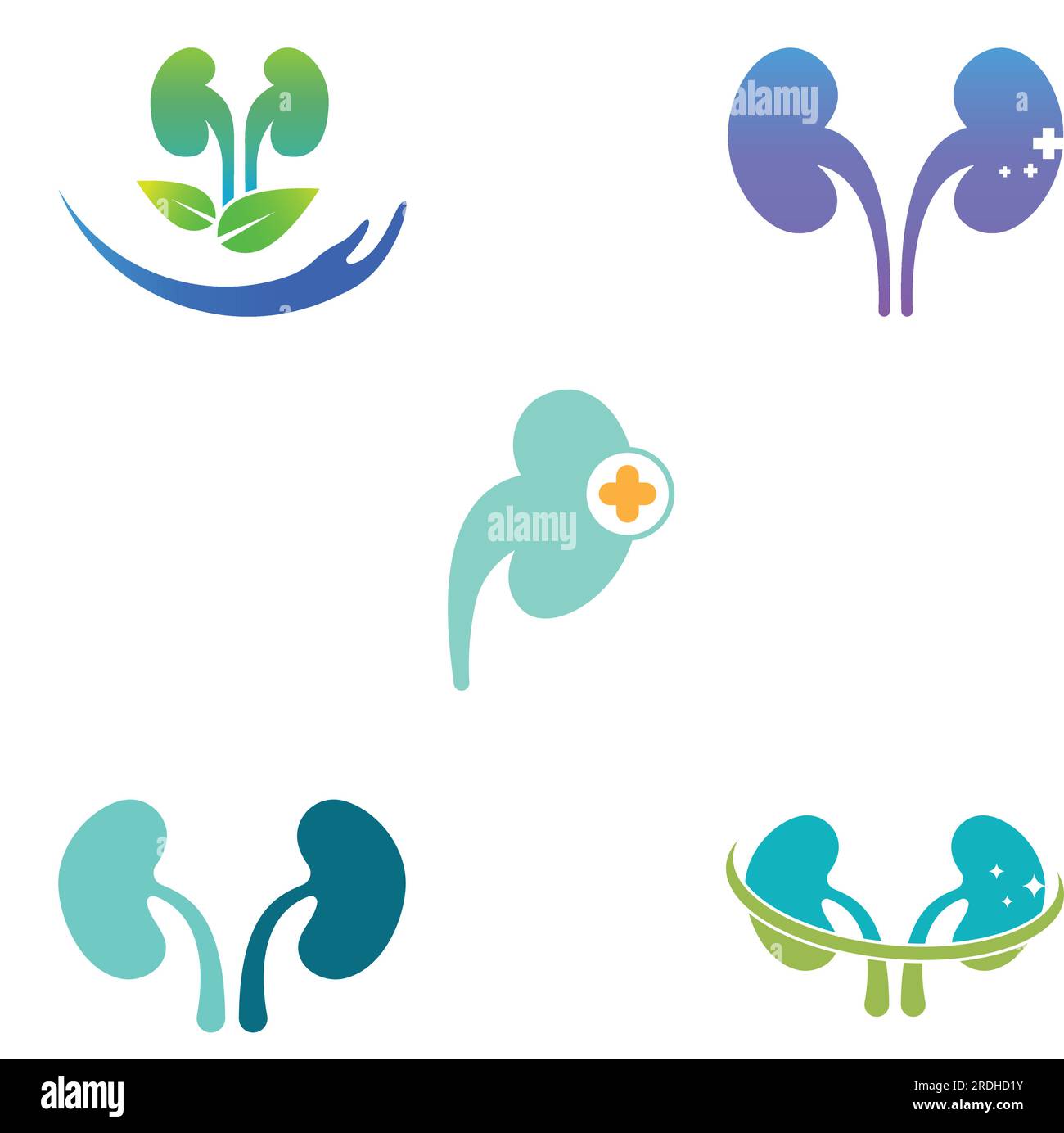 kidney health and kidney care logo using vector concept icon Stock ...