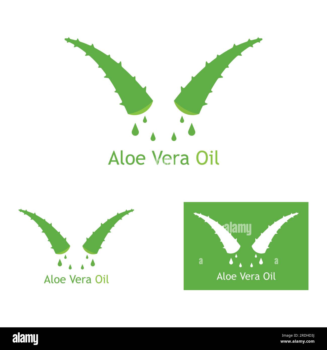 Aloe vera icon logo vector illustration Stock Vector Image & Art - Alamy