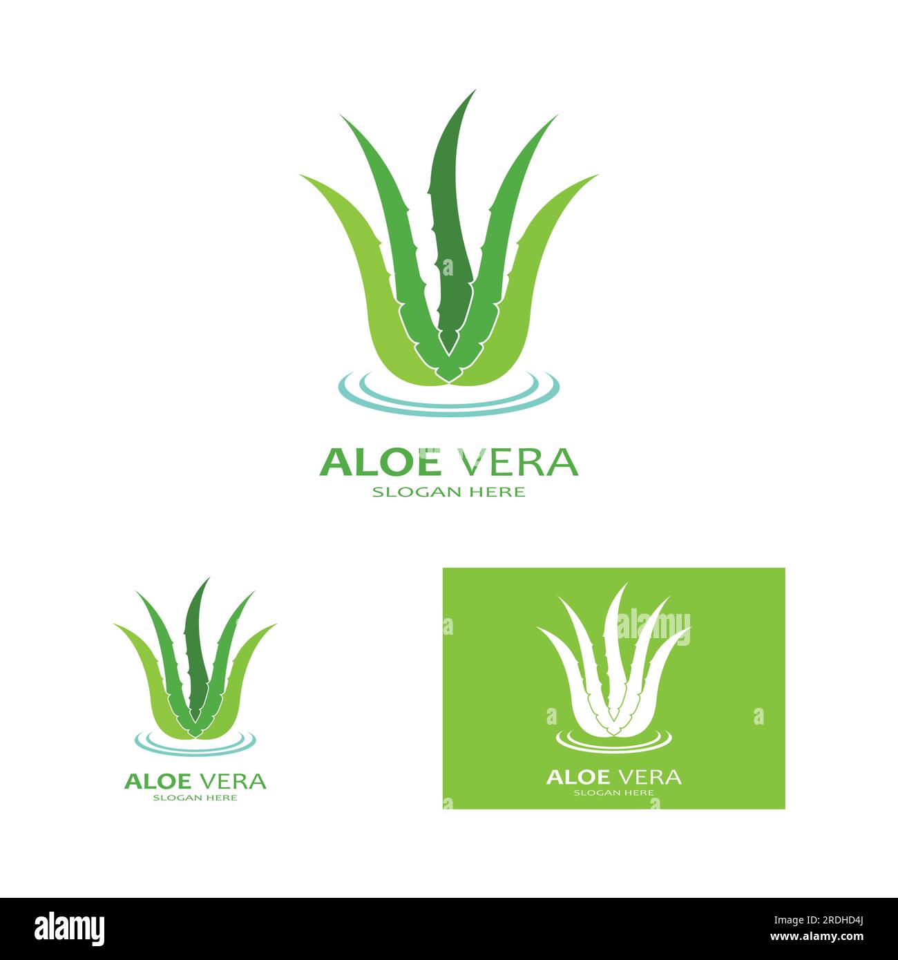 Aloe vera icon logo vector illustration Stock Vector Image & Art - Alamy