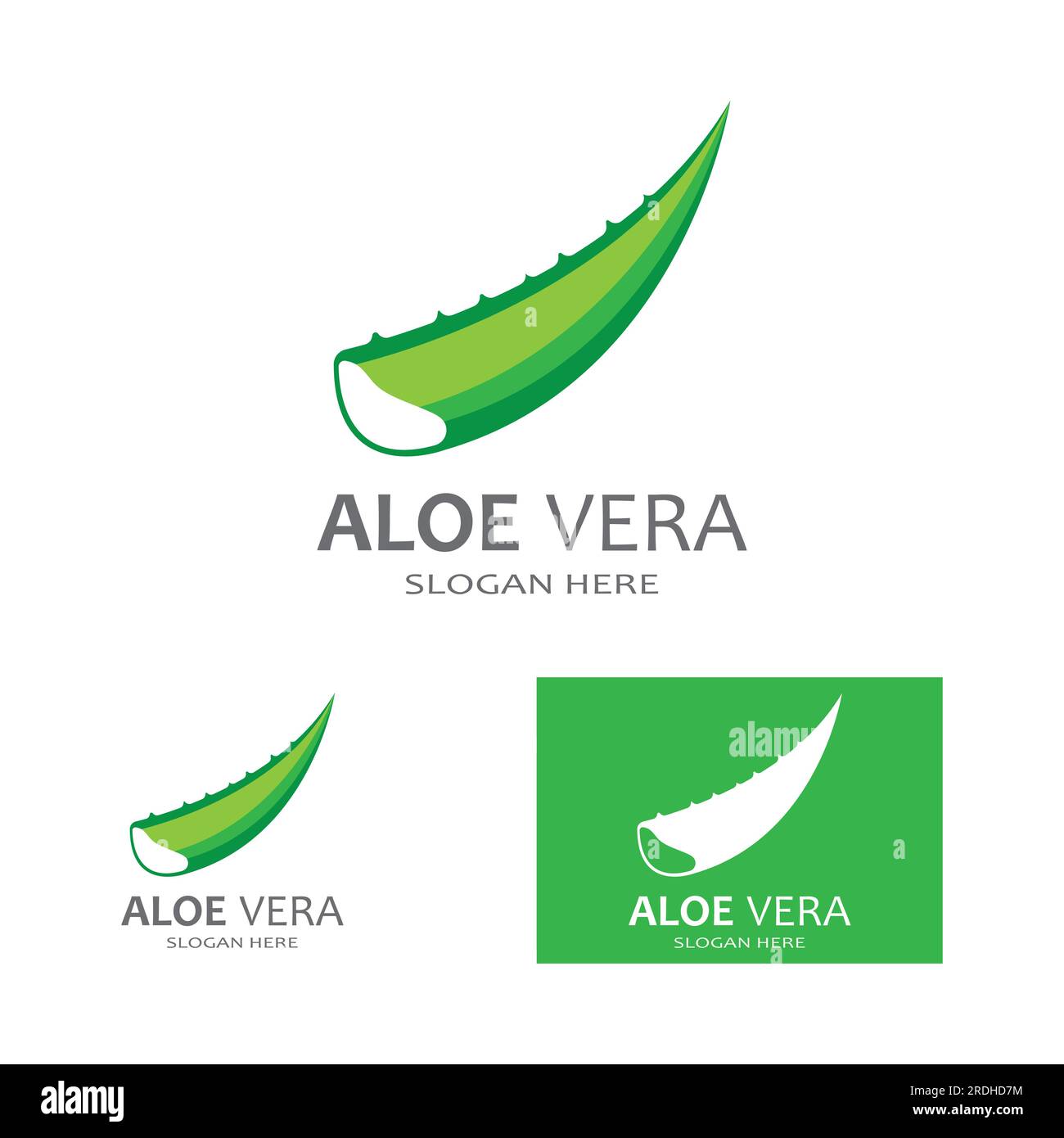 Aloe vera icon logo vector illustration Stock Vector Image & Art - Alamy