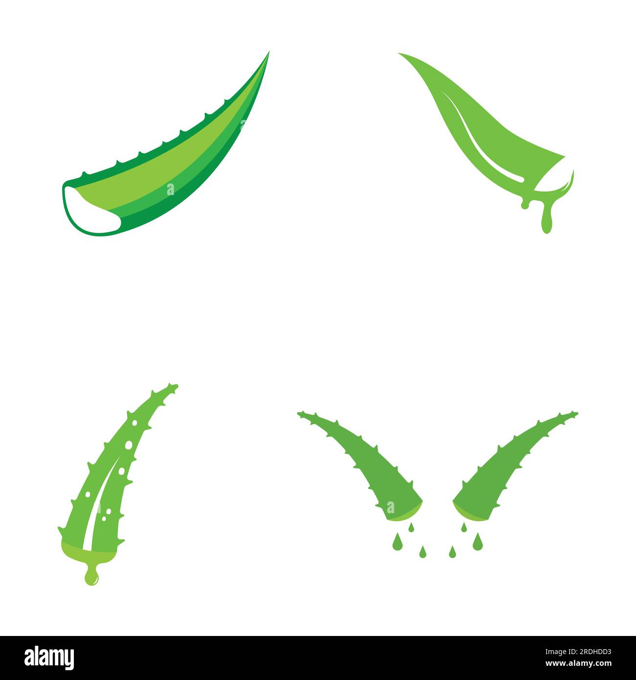 Aloe vera icon logo vector illustration Stock Vector Image & Art - Alamy