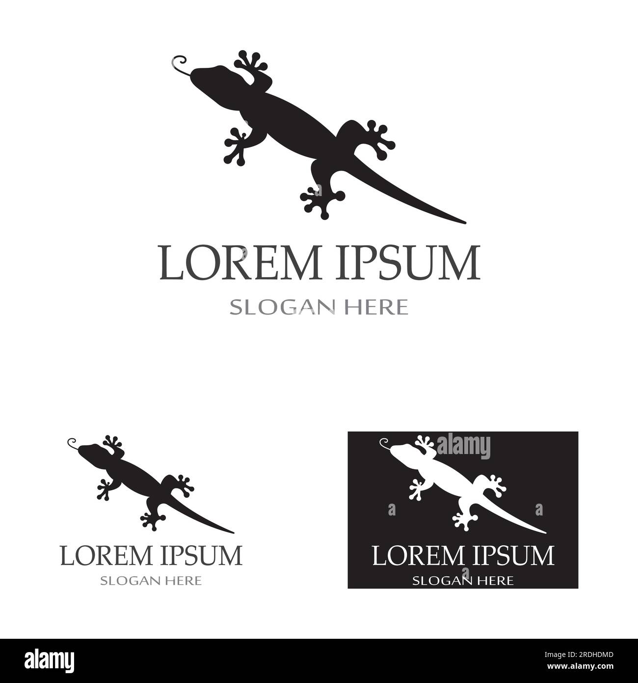 Foot of house gecko Stock Vector Images - Alamy