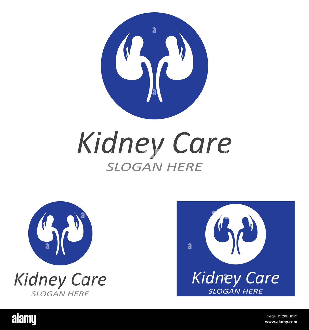 kidney health and kidney care logo using vector concept icon Stock ...