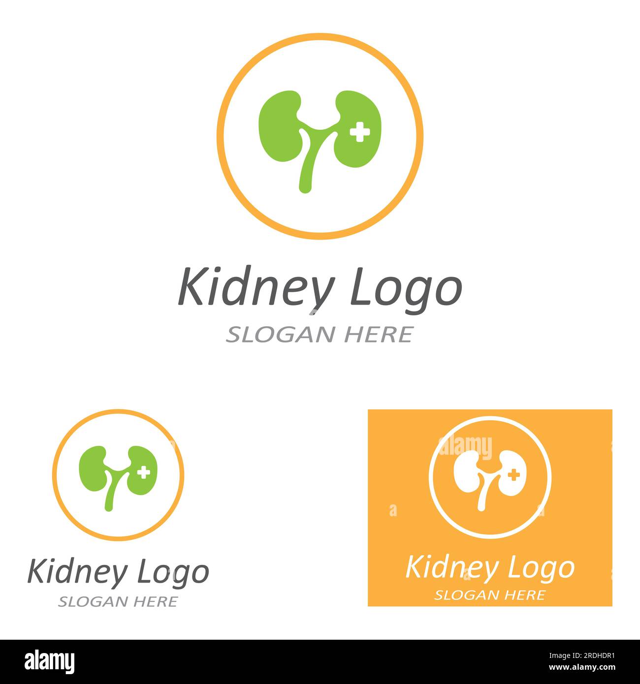 kidney health and kidney care logo using vector concept icon Stock ...