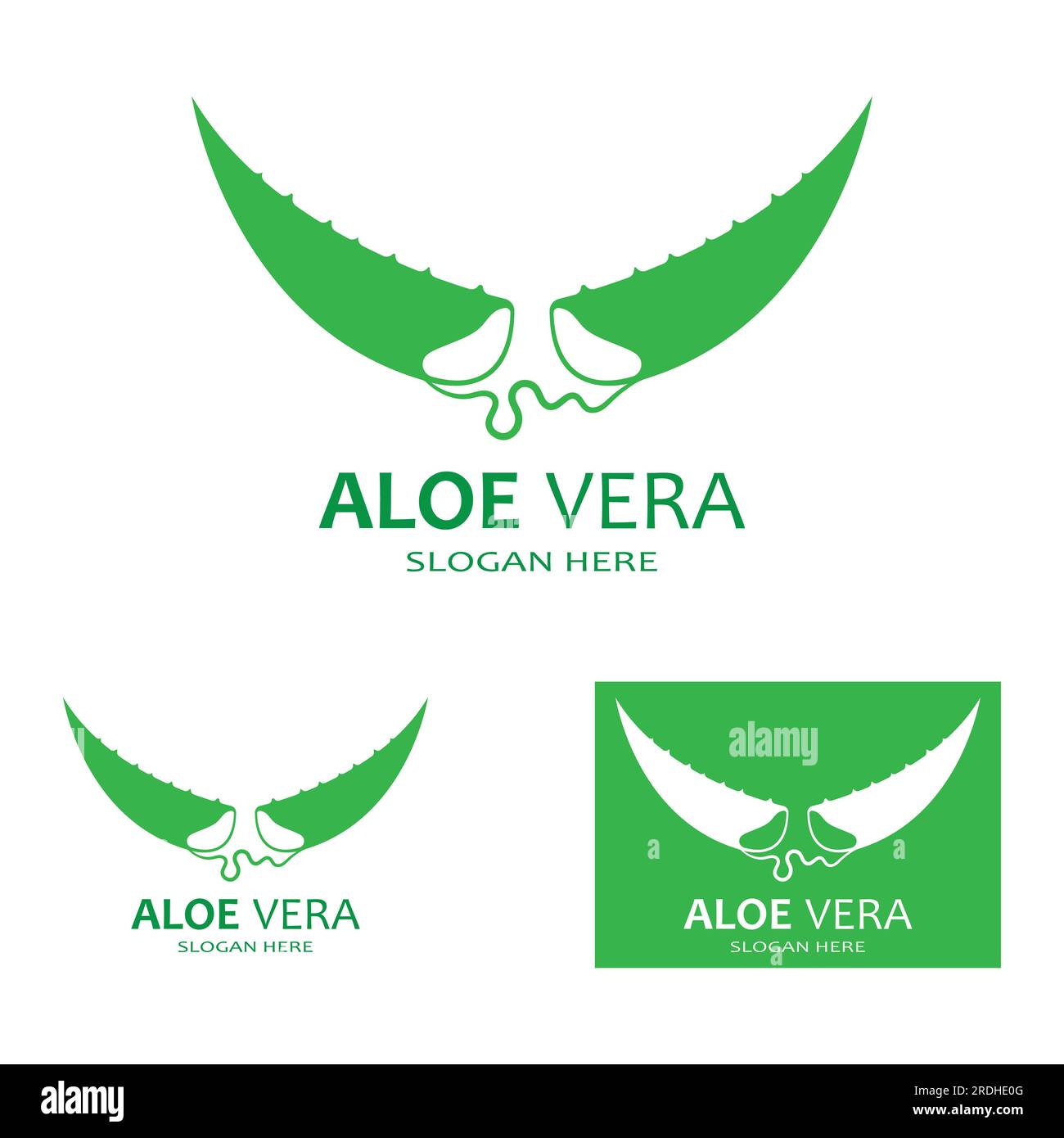 Aloe vera icon logo vector illustration Stock Vector Image & Art - Alamy