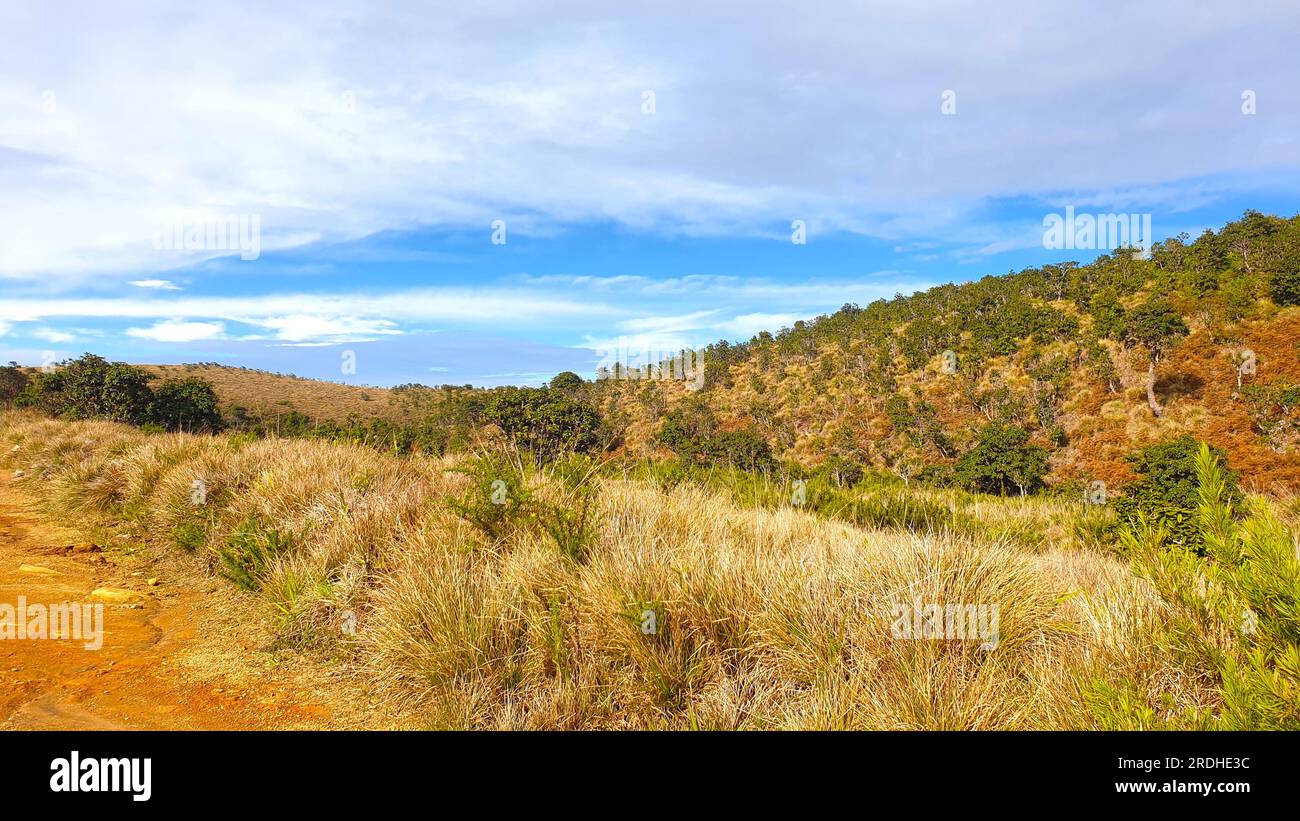 Cloud forest horton plains hi-res stock photography and images - Alamy