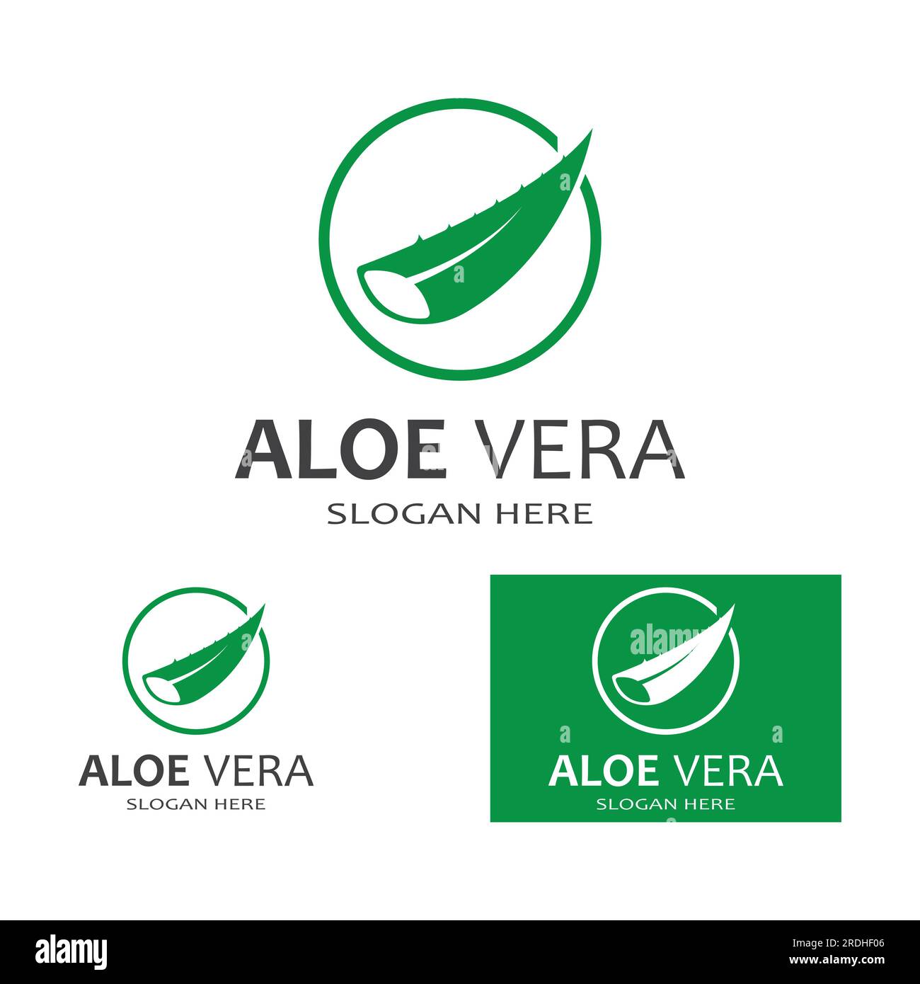 Aloe vera icon logo vector illustration Stock Vector Image & Art - Alamy