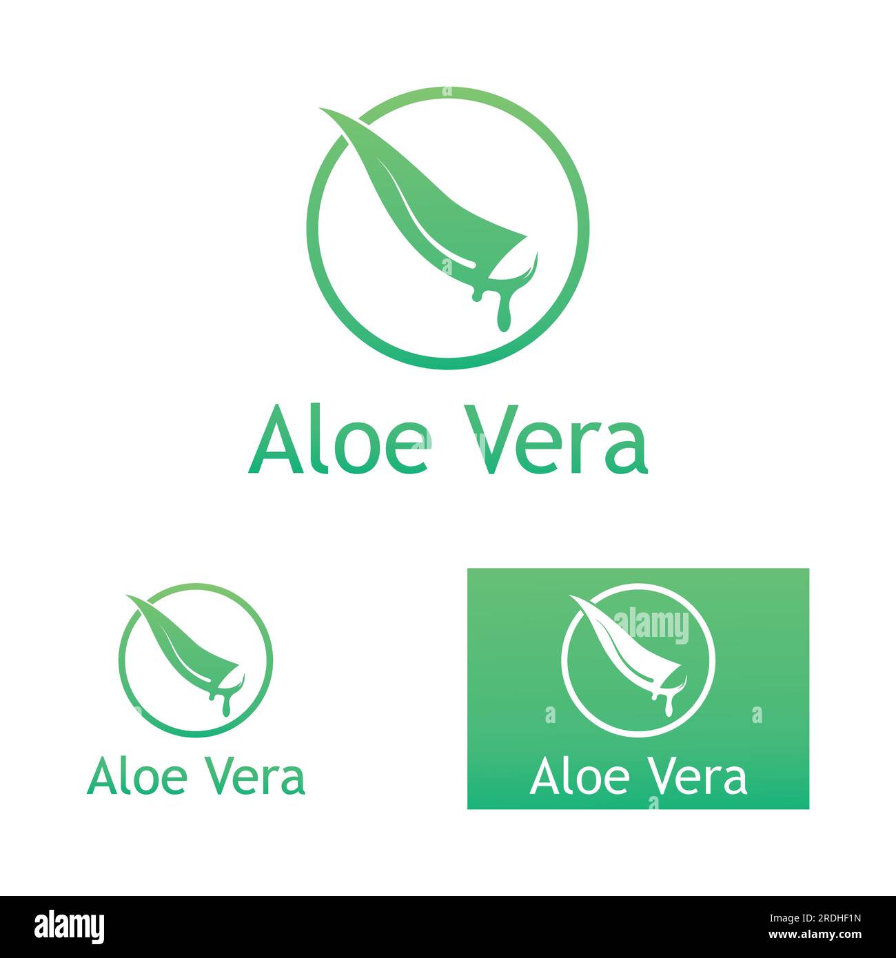 Aloe vera icon logo vector illustration Stock Vector Image & Art - Alamy