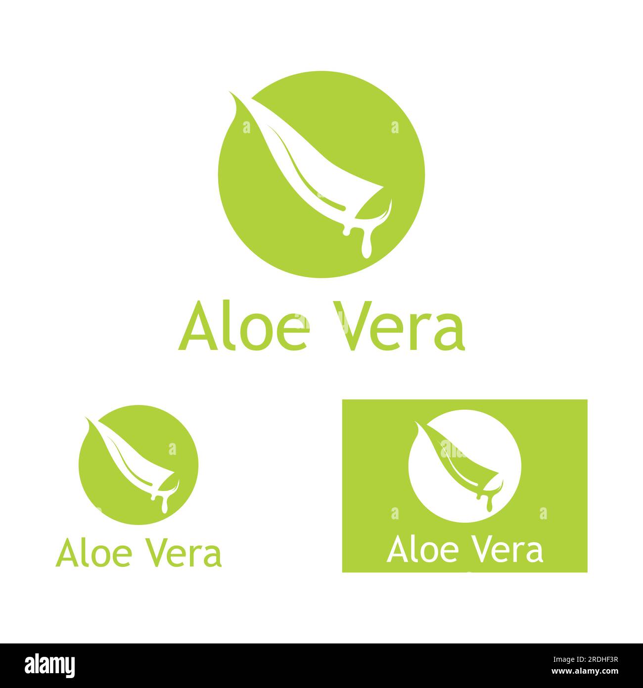 Aloe vera icon logo vector illustration Stock Vector Image & Art - Alamy