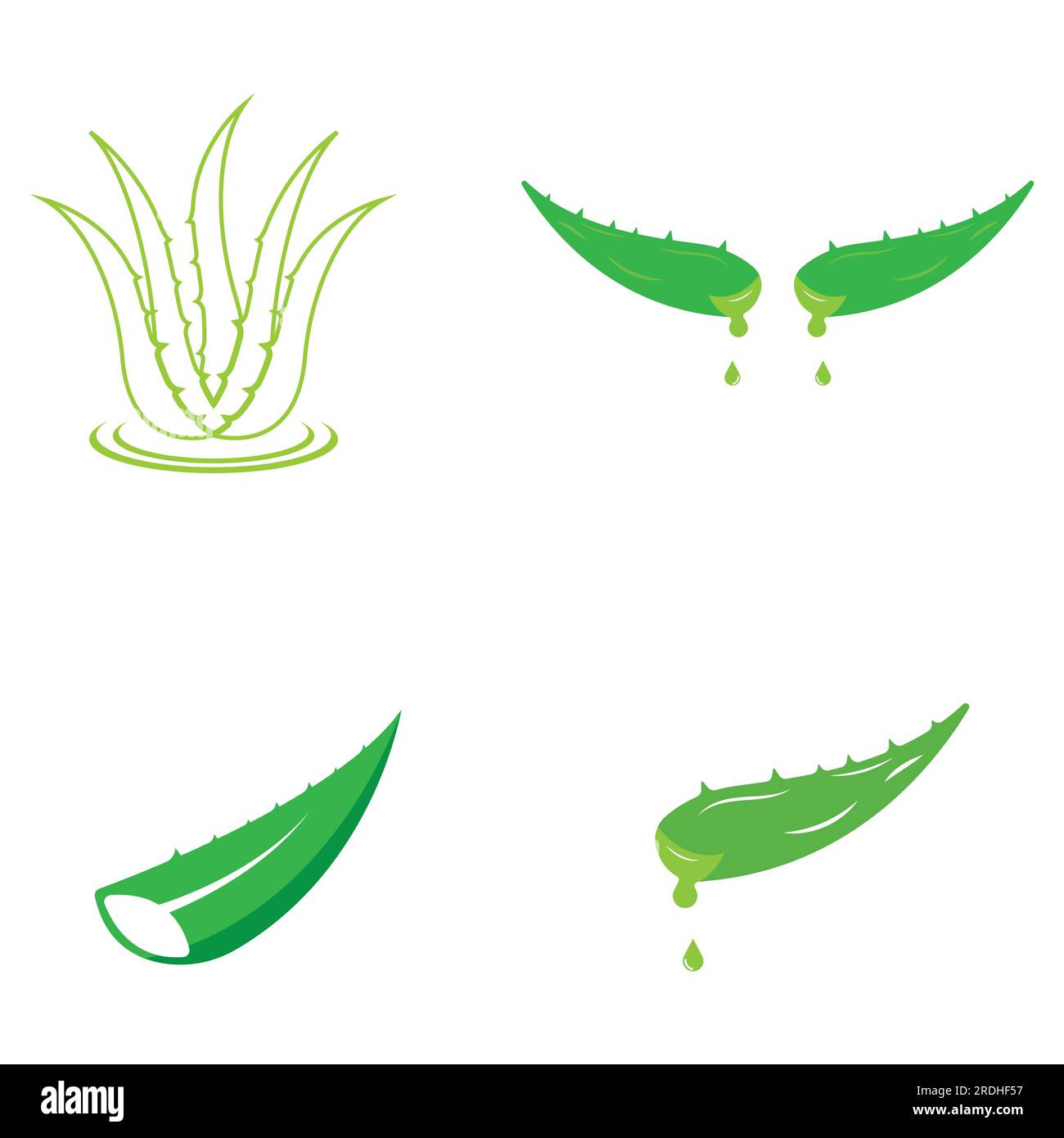 Aloe vera icon logo vector illustration Stock Vector Image & Art - Alamy