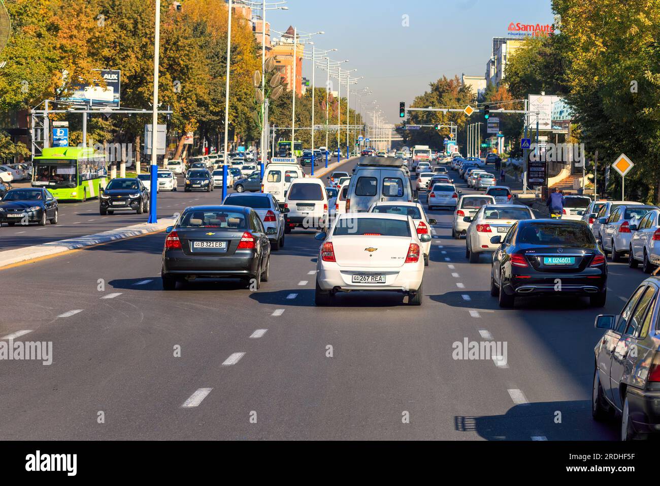 Bisy hi-res stock photography and images - Alamy