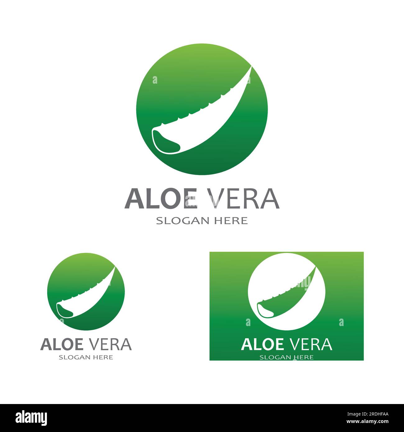 Aloe vera icon logo vector illustration Stock Vector Image & Art - Alamy
